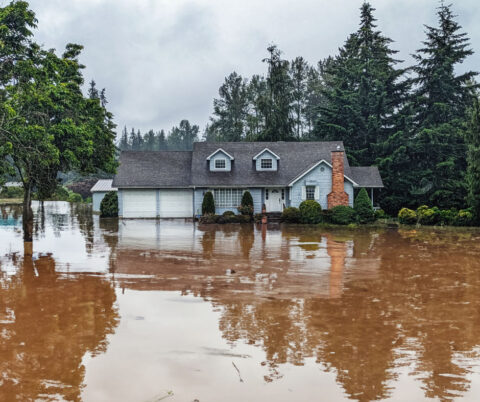 Flood Preparedness: What to do Before, After and During a Flood ...
